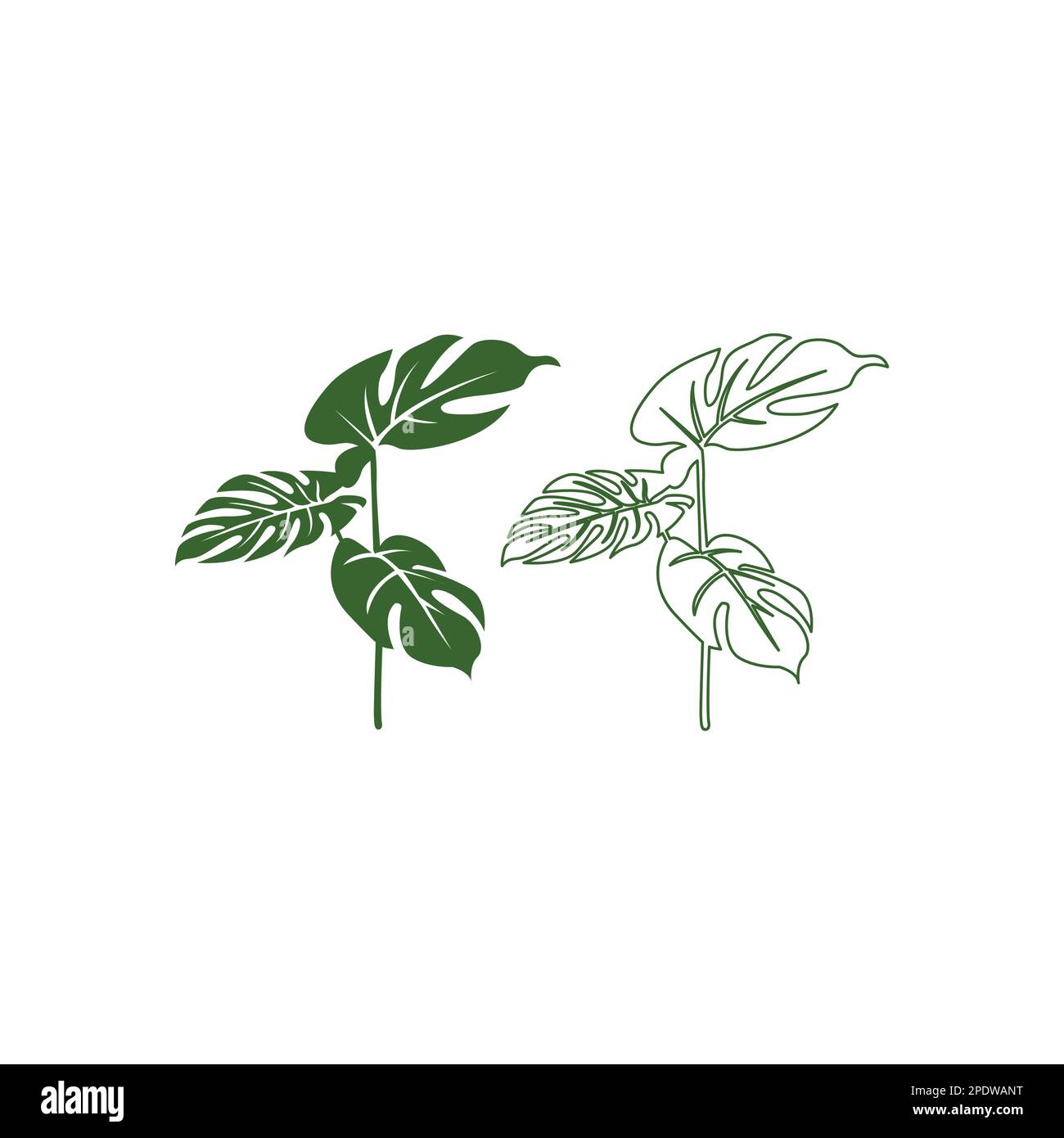set of monstera leaves. The design of the Illustration of the vector ...