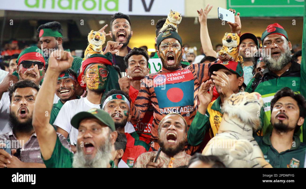 Tiger's fans celebrate after win T20I against England at Sher-e-Bangla ...