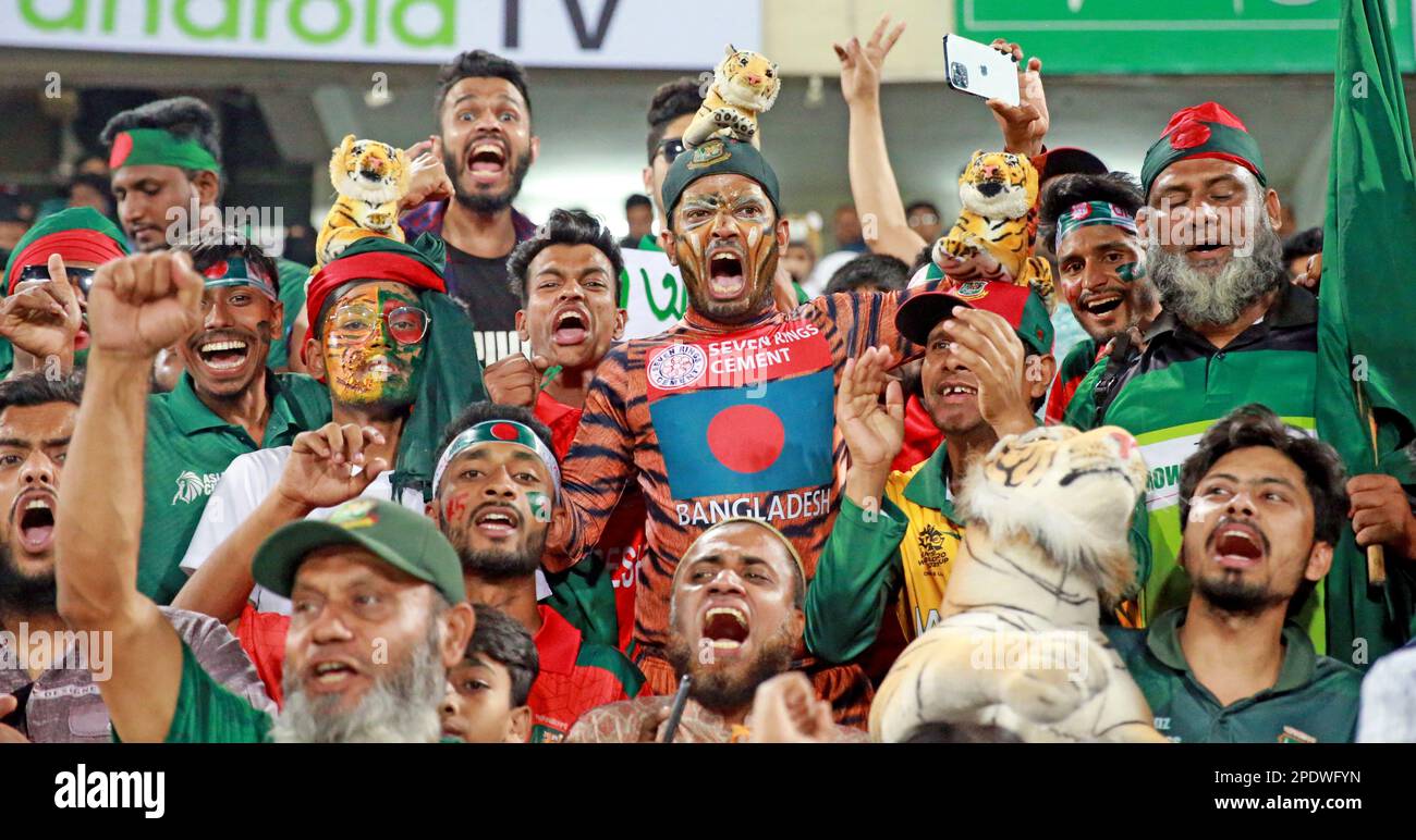 Tiger's fans celebrate after win T20I against England at Sher-e-Bangla ...