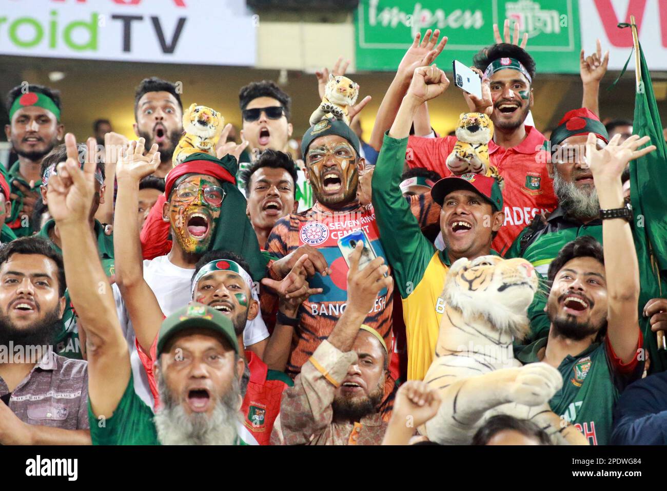 Tiger's fans celebrate after win T20I against England at Sher-e-Bangla ...