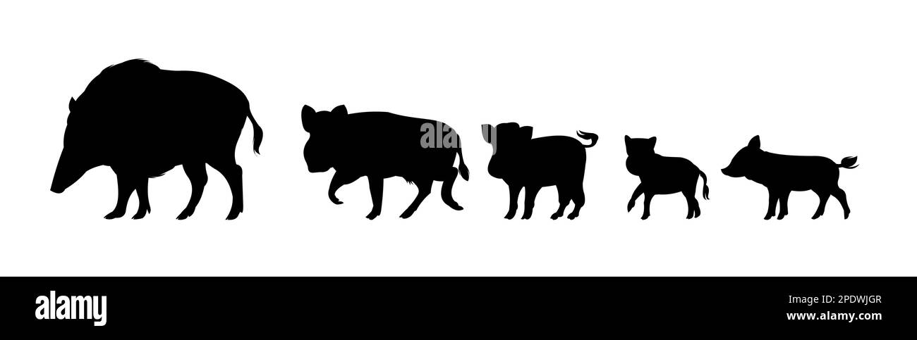 Wild boar family. Animal in natural habitat. Wild pig illustration ...