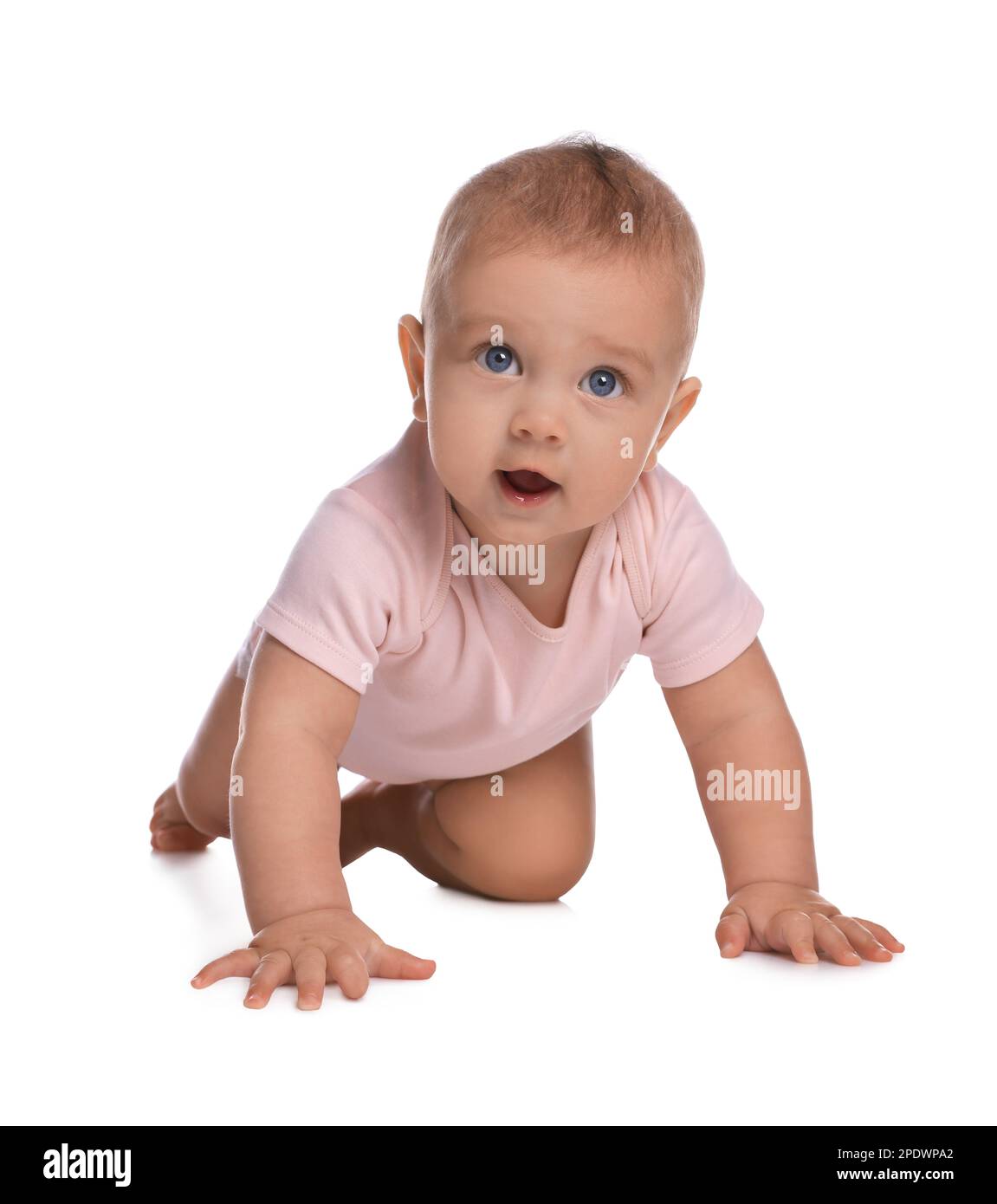 Cute little baby girl crawling on white background Stock Photo - Alamy
