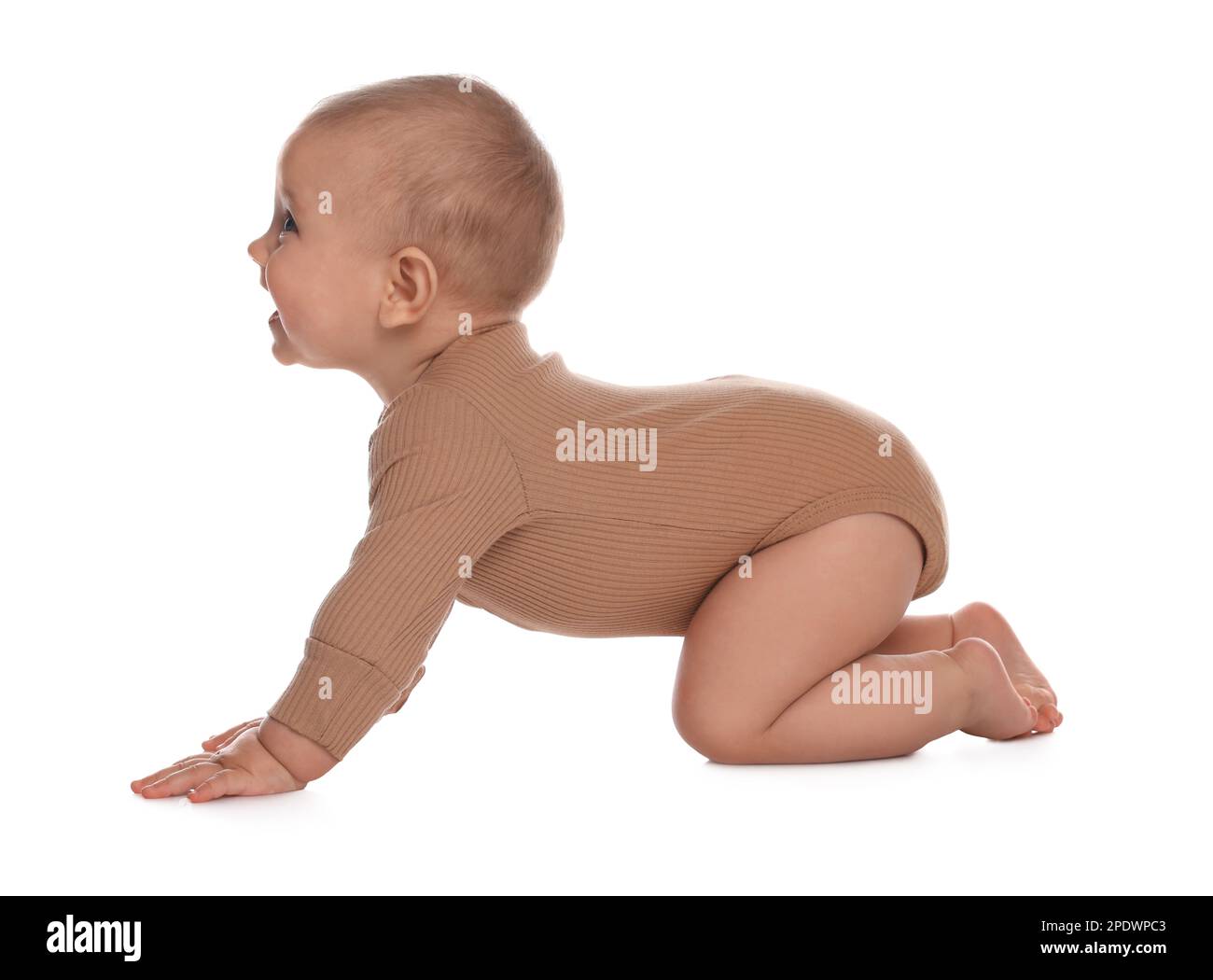 Cute little baby crawling on white background Stock Photo - Alamy