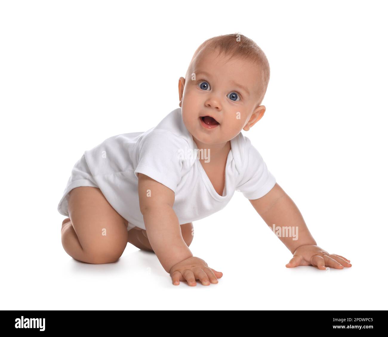 Cute little baby crawling on white background Stock Photo - Alamy