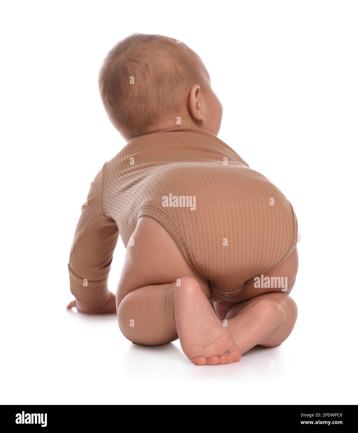 Cute little baby crawling on white background, back view Stock Photo ...