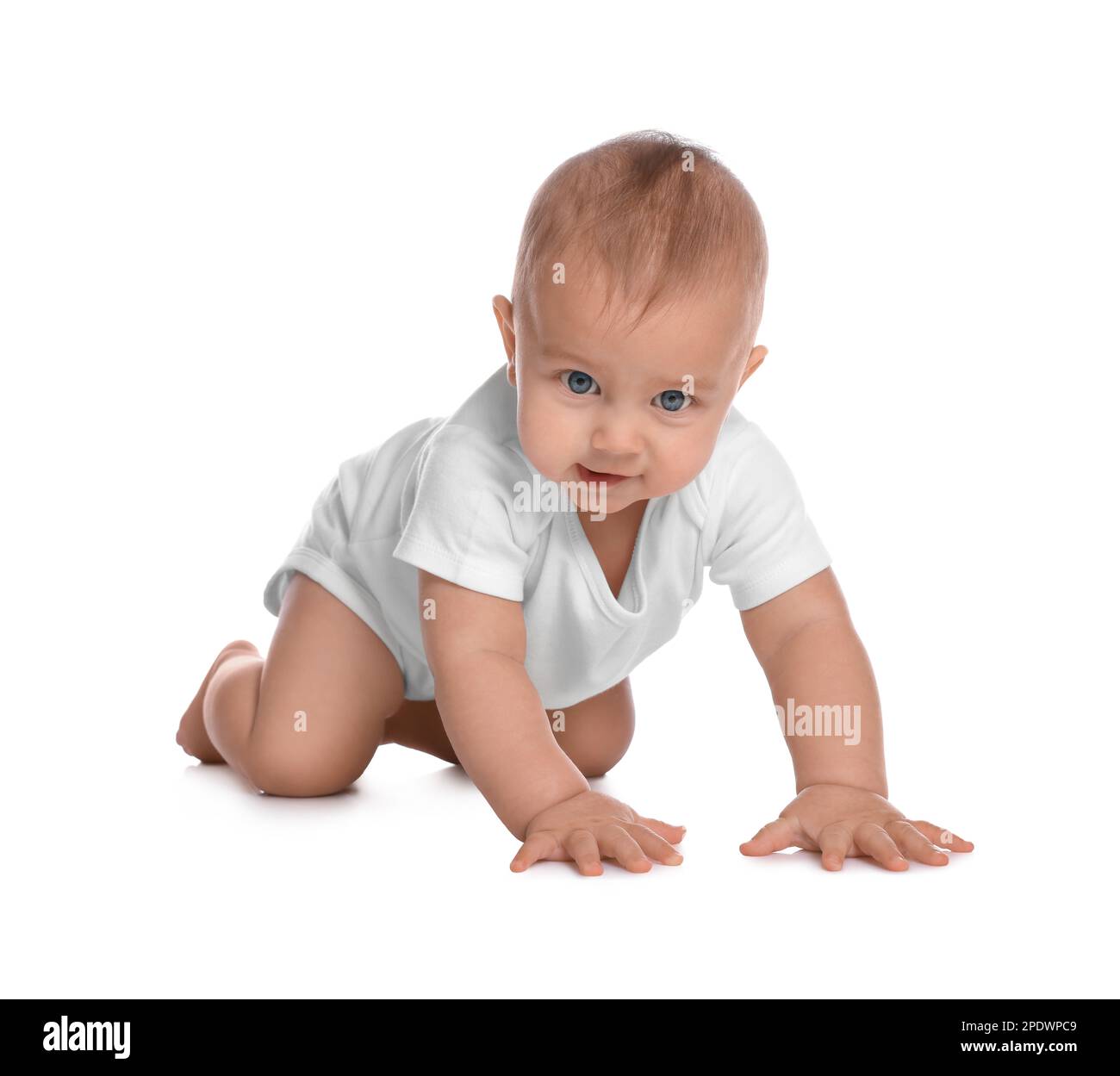 Cute little baby crawling on white background Stock Photo - Alamy