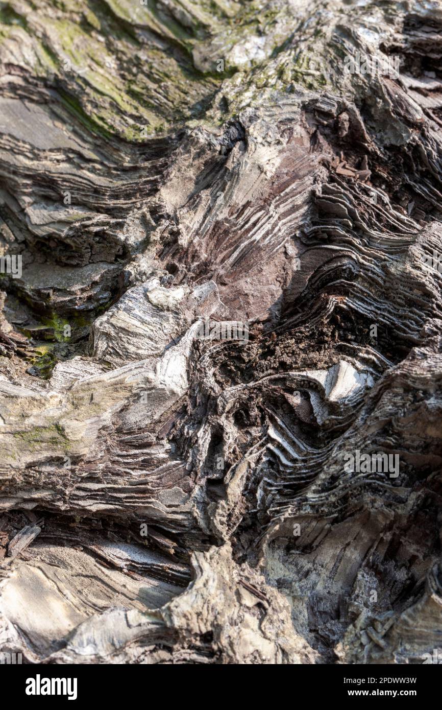 A majestic cliffside in nature with a rugged terrain of eroded rocks ...