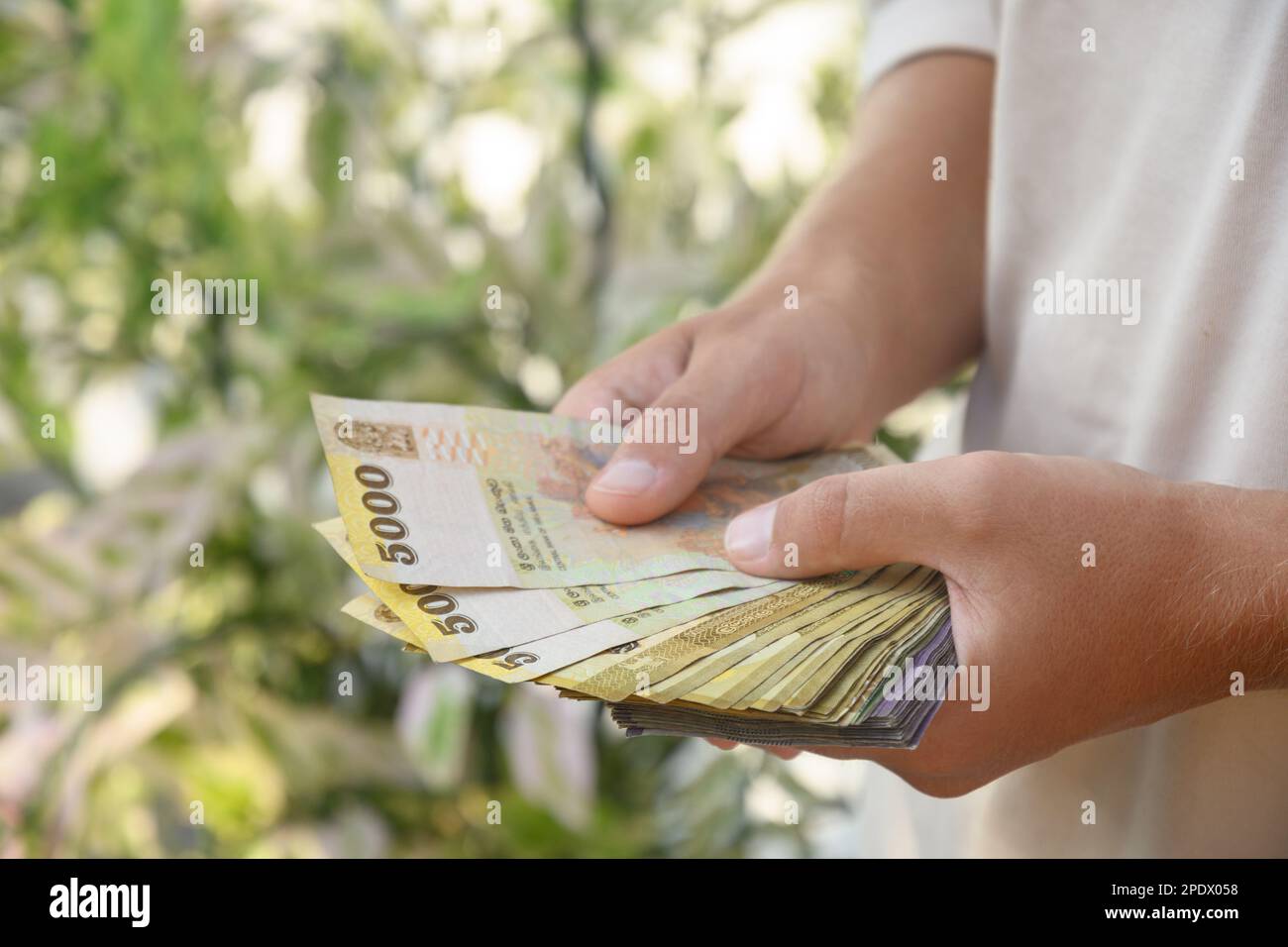 Hand of man holding Sri Lanka rupees banknotes of different ...