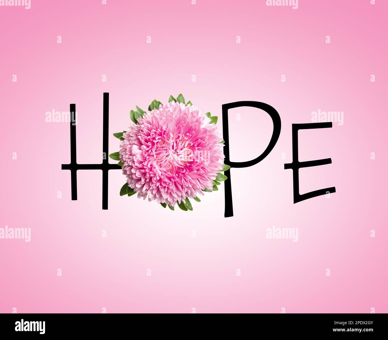 Word HOPE made with letters and beautiful aster on pink background ...