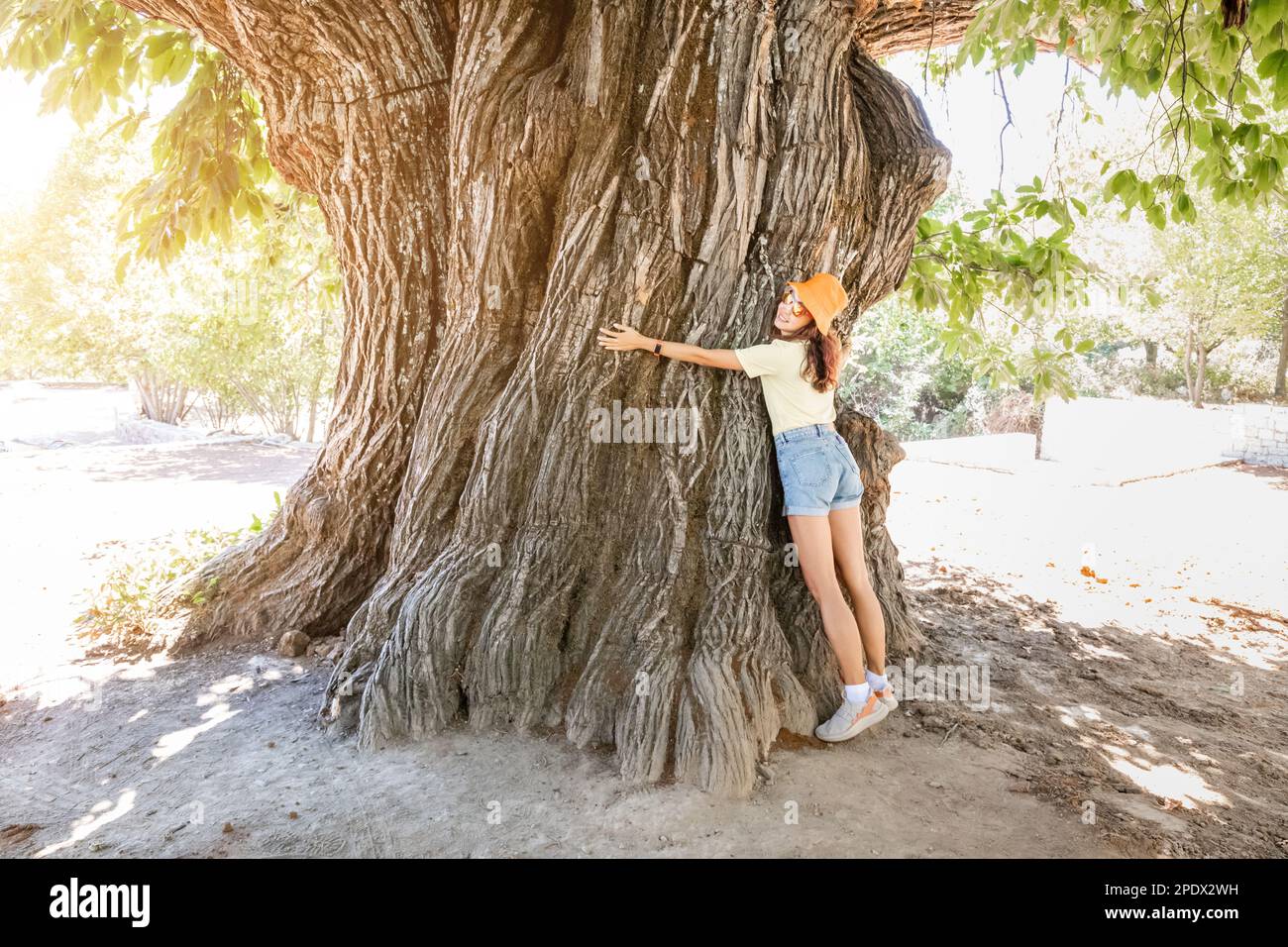 a girl shows her love for nature by embracing a towering tree Stock ...