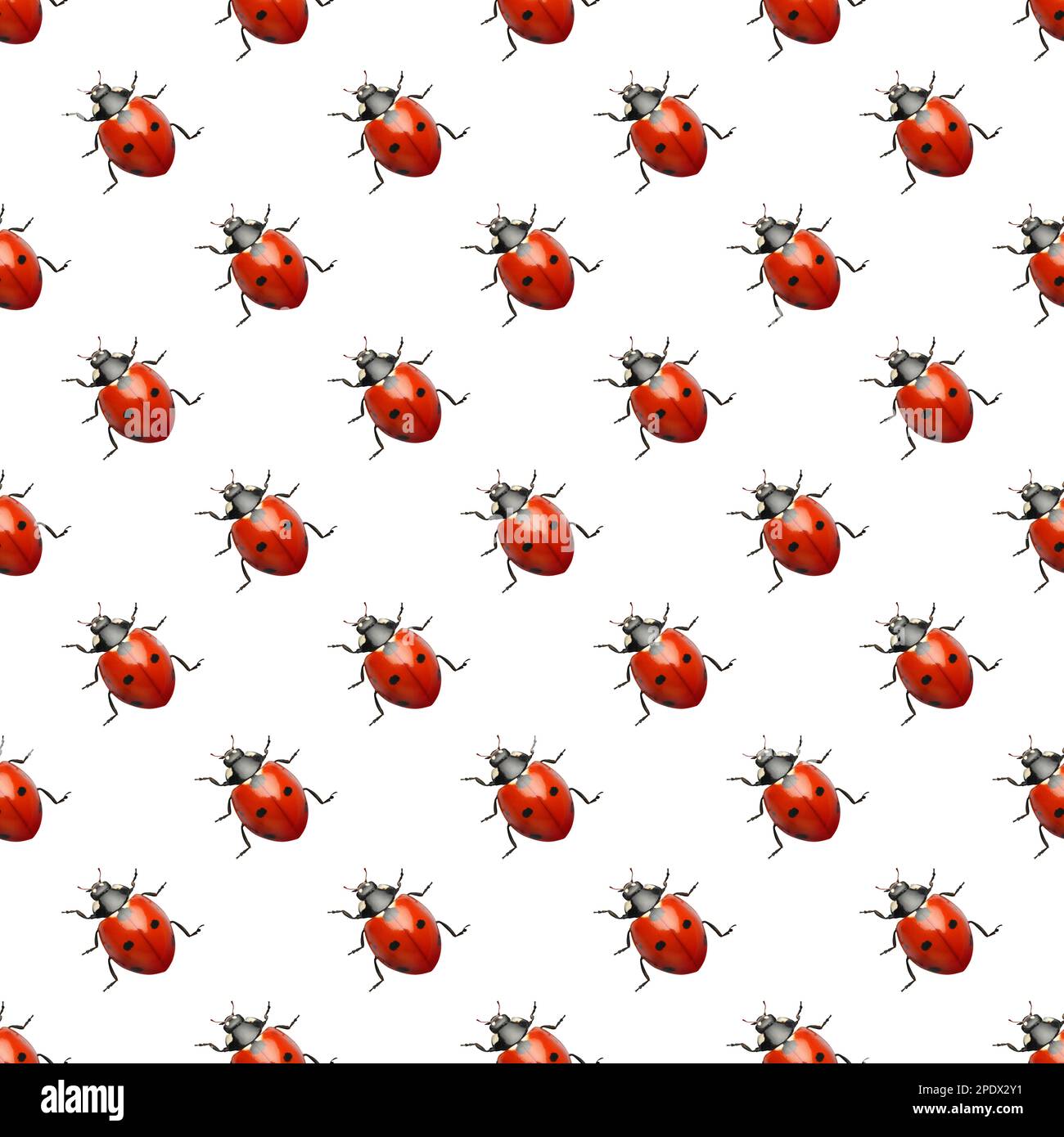 Many red ladybugs on white background, top view Stock Photo - Alamy