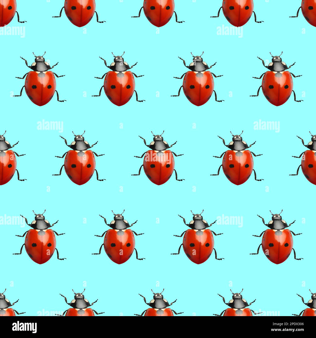 Flat ladybug hi-res stock photography and images - Alamy