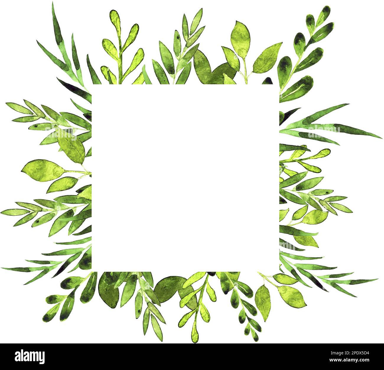 Botanical border of green leaves for greeting card or invitation design ...