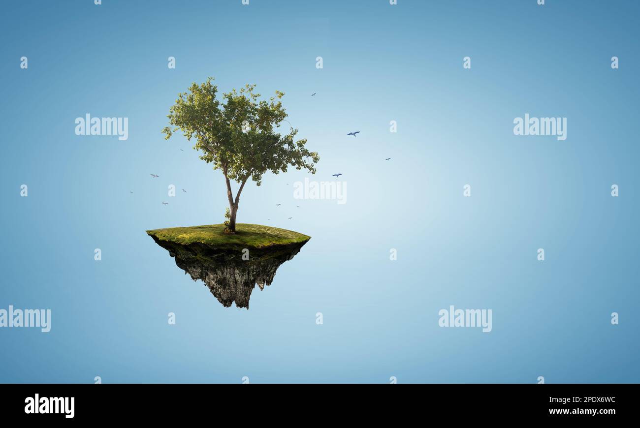 Image of tree and landscape Stock Photo - Alamy