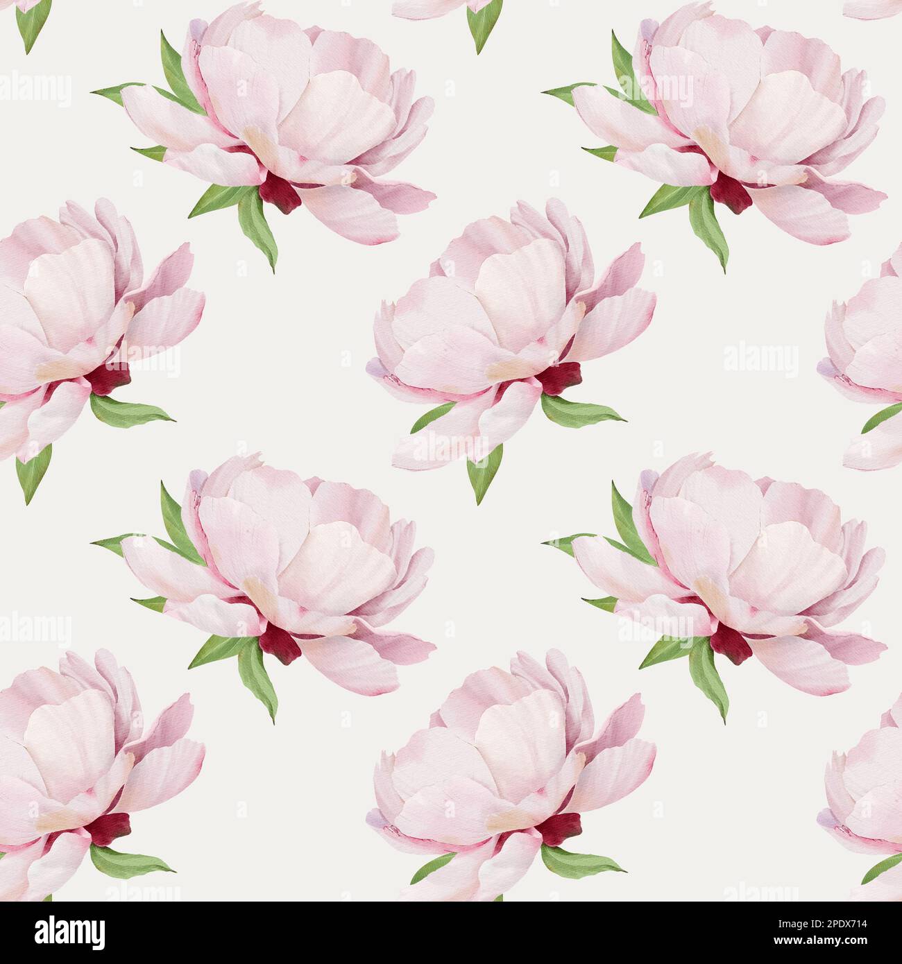 Peony Flower Seamless Pattern. Elegant Vintage Floral Illustration ...