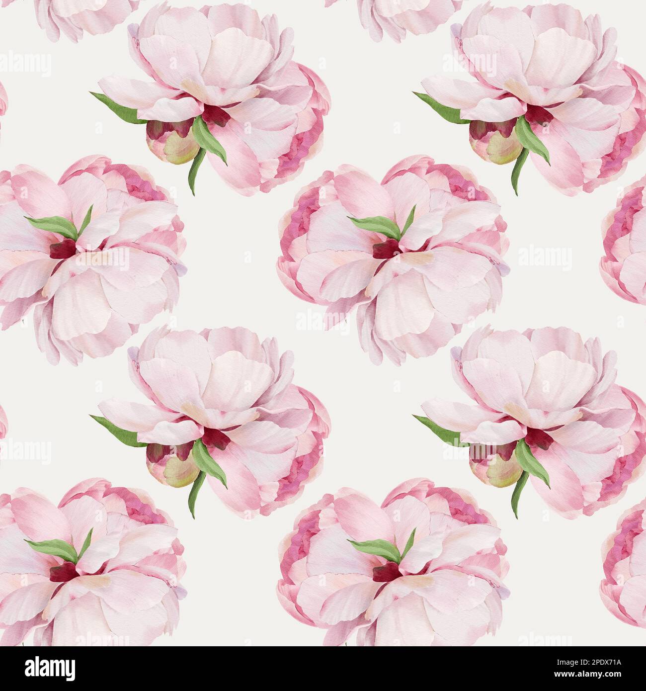 Peony Flower Seamless Pattern. Elegant Vintage Floral Illustration ...