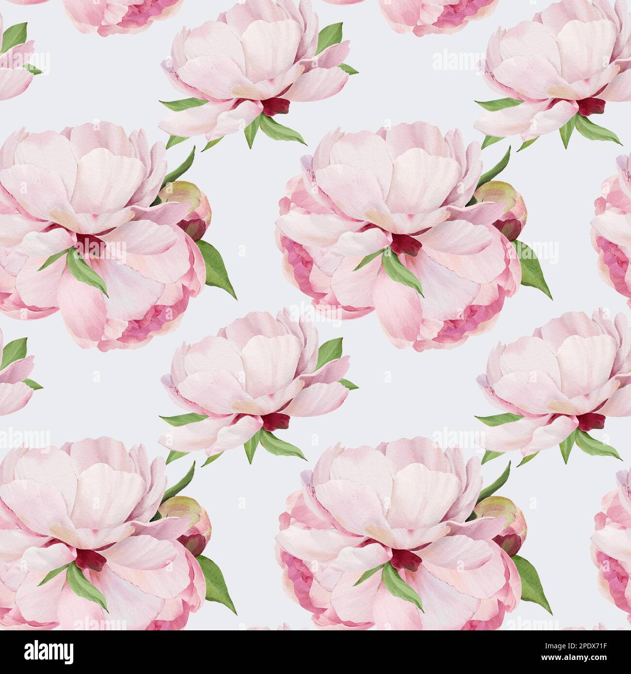 Peony Flower Seamless Pattern. Elegant Vintage Floral Illustration ...