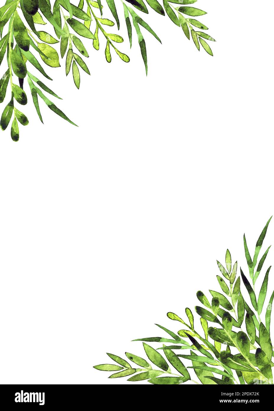 Botanical border of green leaves for greeting card or invitation design ...
