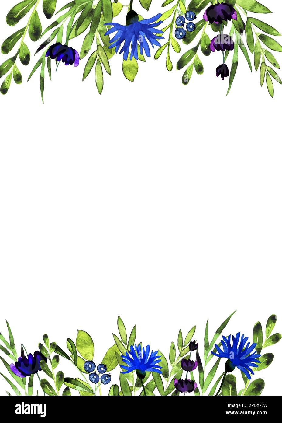 Watercolor flower frame of cornflower, green leaves and buds Stock ...
