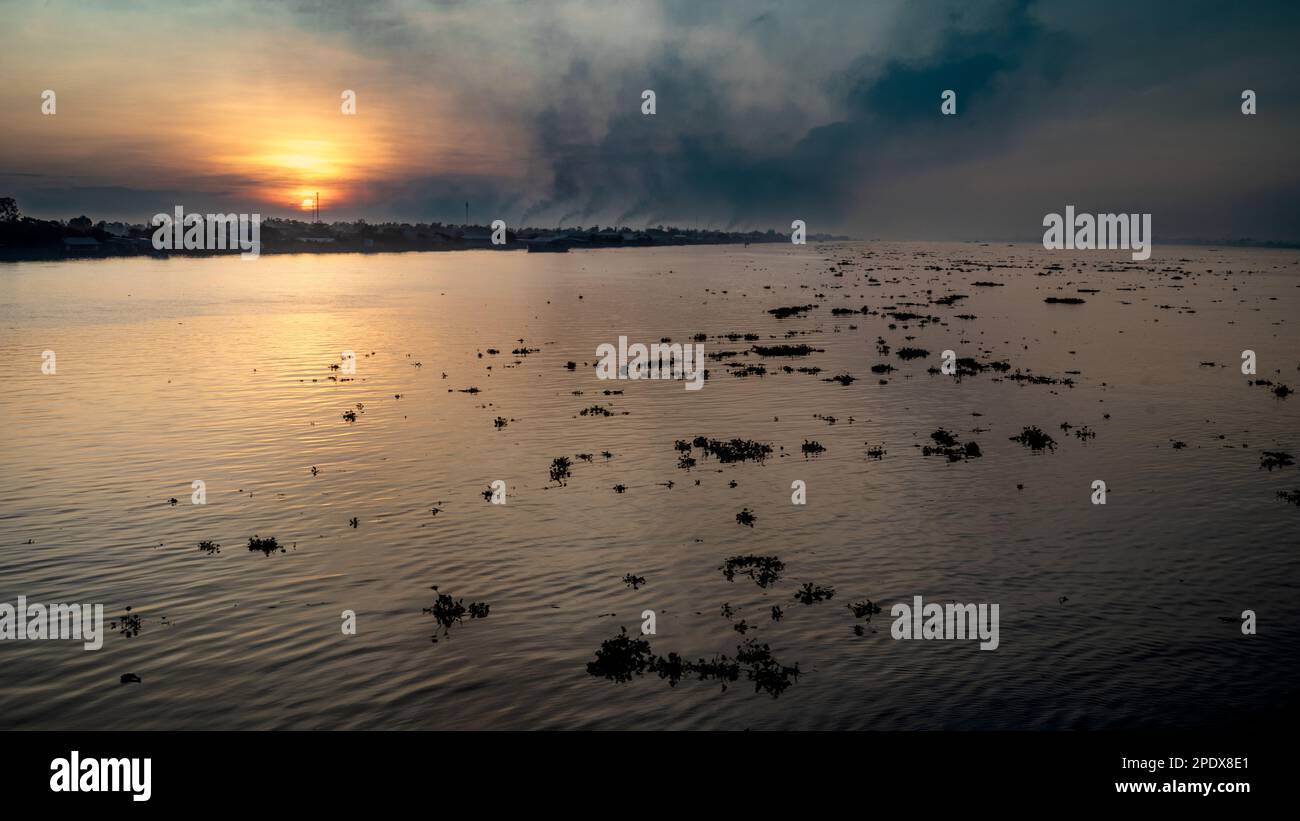 A view across the Mekong River with its clumps of floating water ...