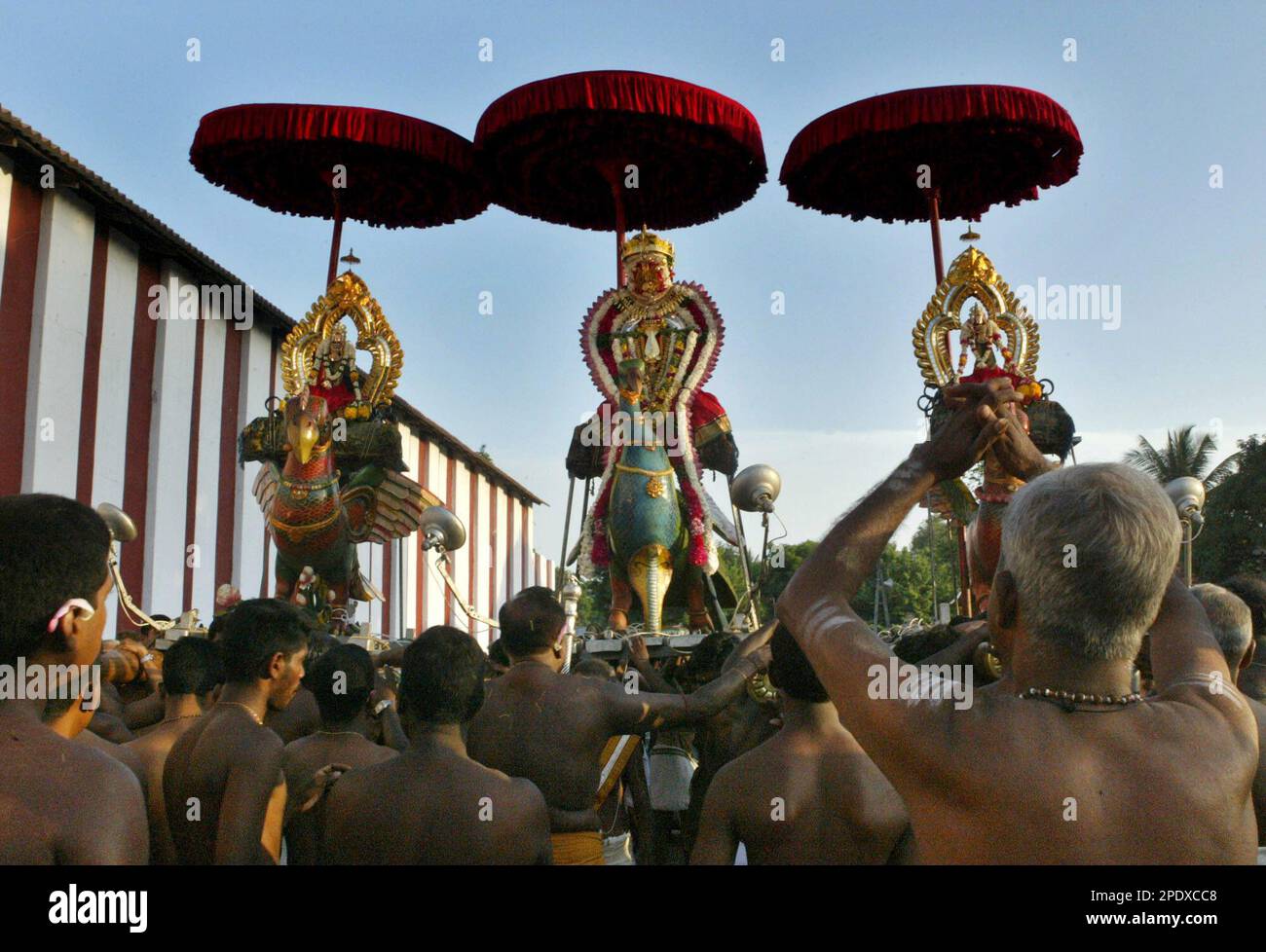 Tamil devotees carry Hindu religious icons around the Nallur Hindu ...