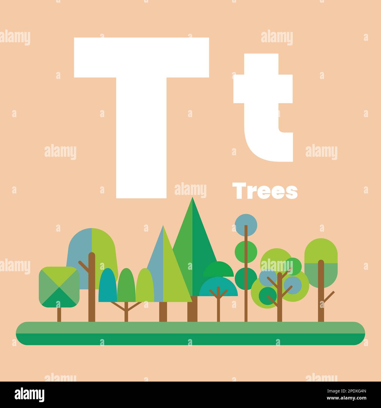 Cute children ABC alphabet flashcard words with the letter T for kids ...