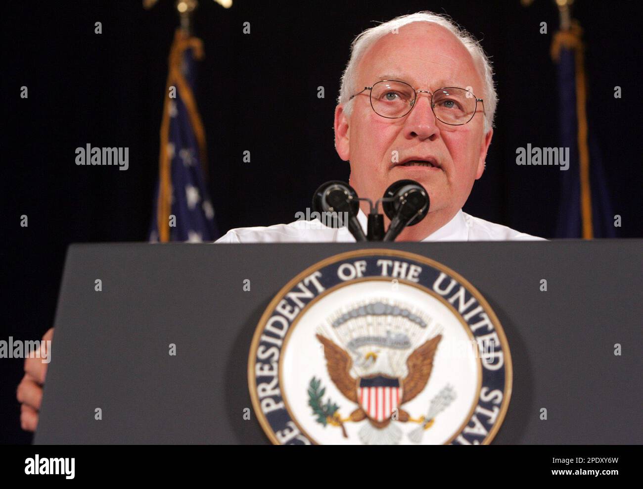 Vice President Dick Cheney speaks to a crowd of about 200 guests at a ...