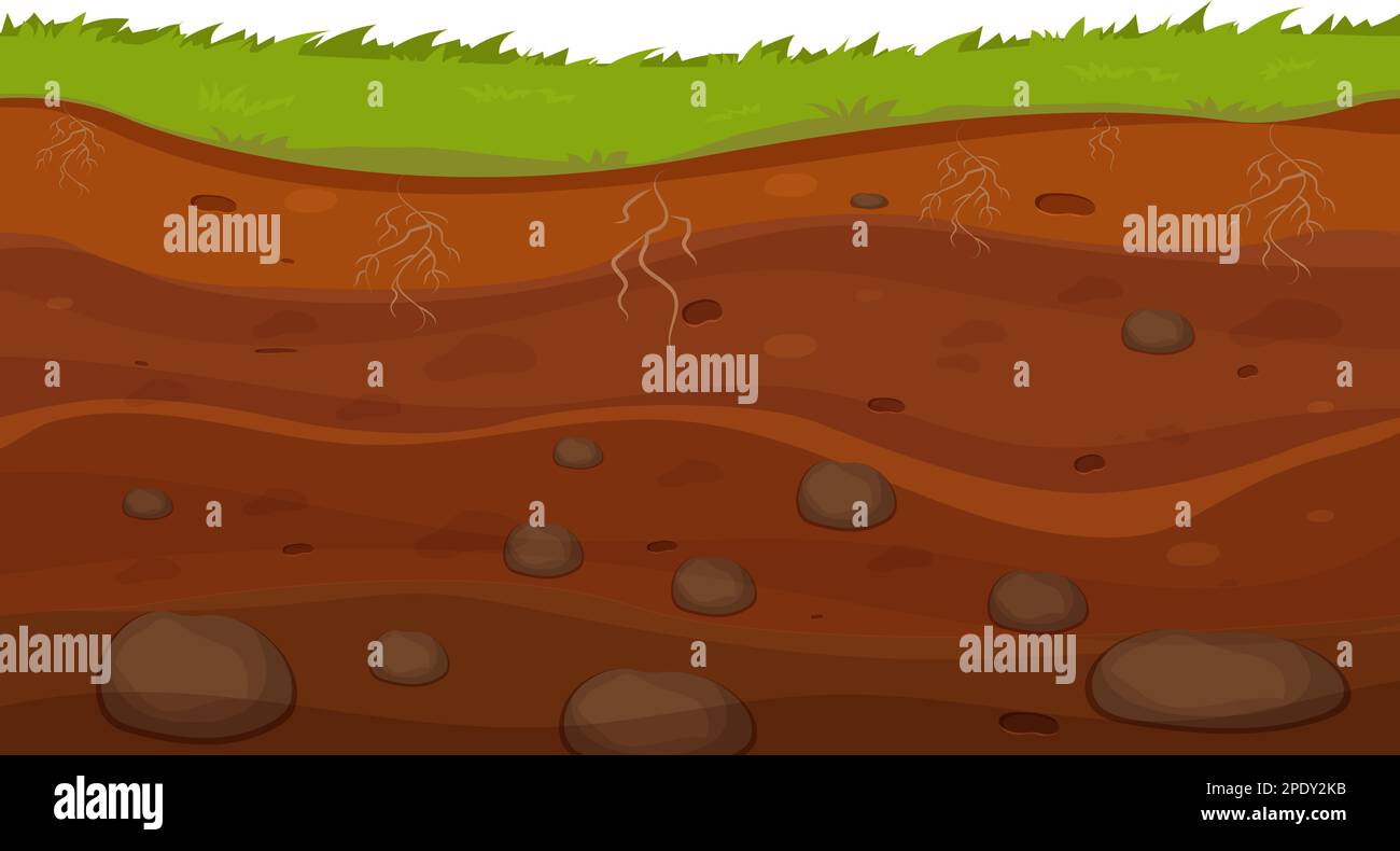 Soil, ground with layers, grass roots and stones, earth sections in ...