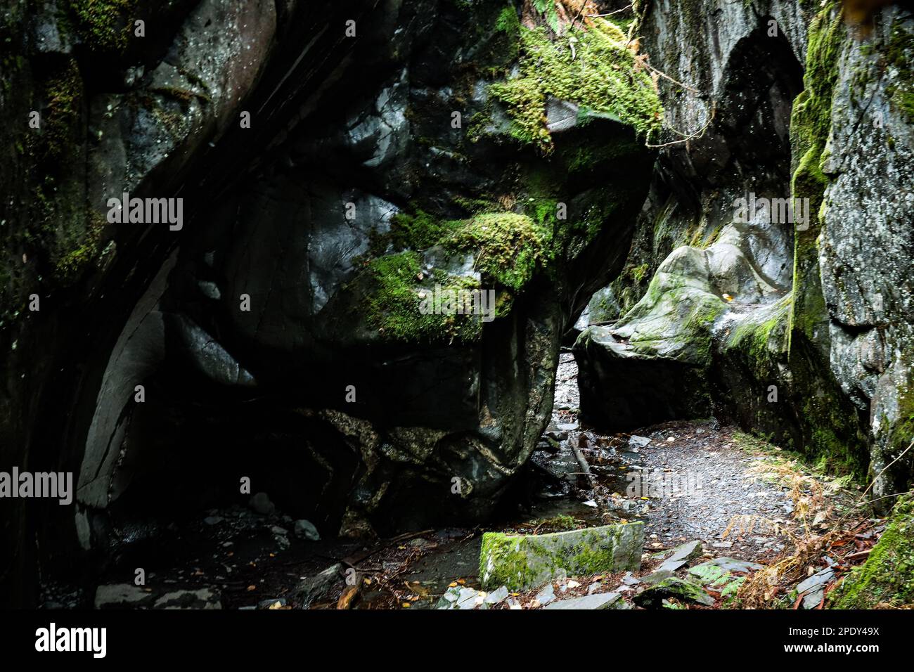 A scenic outdoor landscape featuring a winding dirt path surrounded by ...