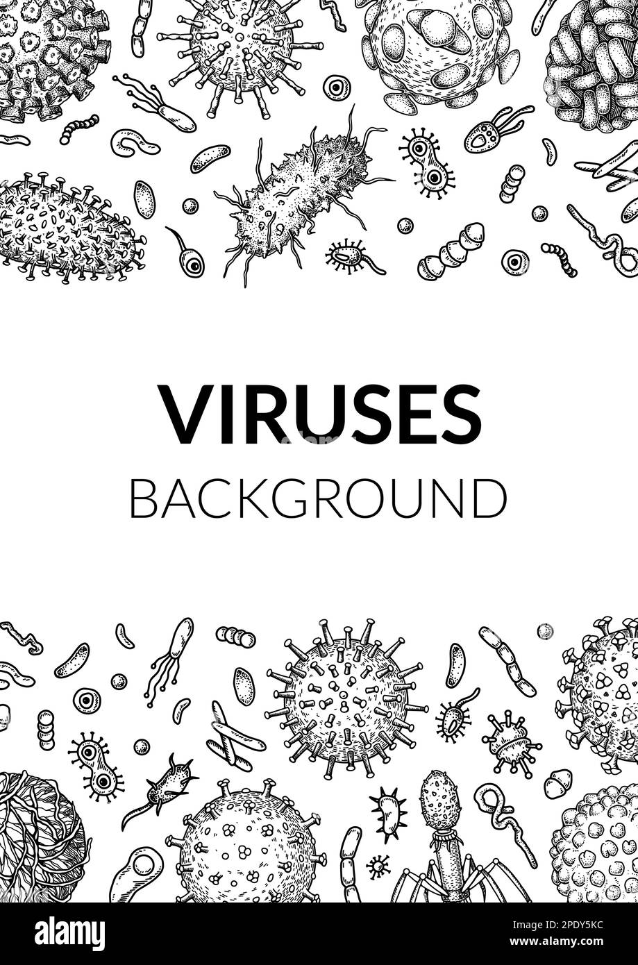 Virus vertical background in sketch style. Hand drawn bacteria, germ ...