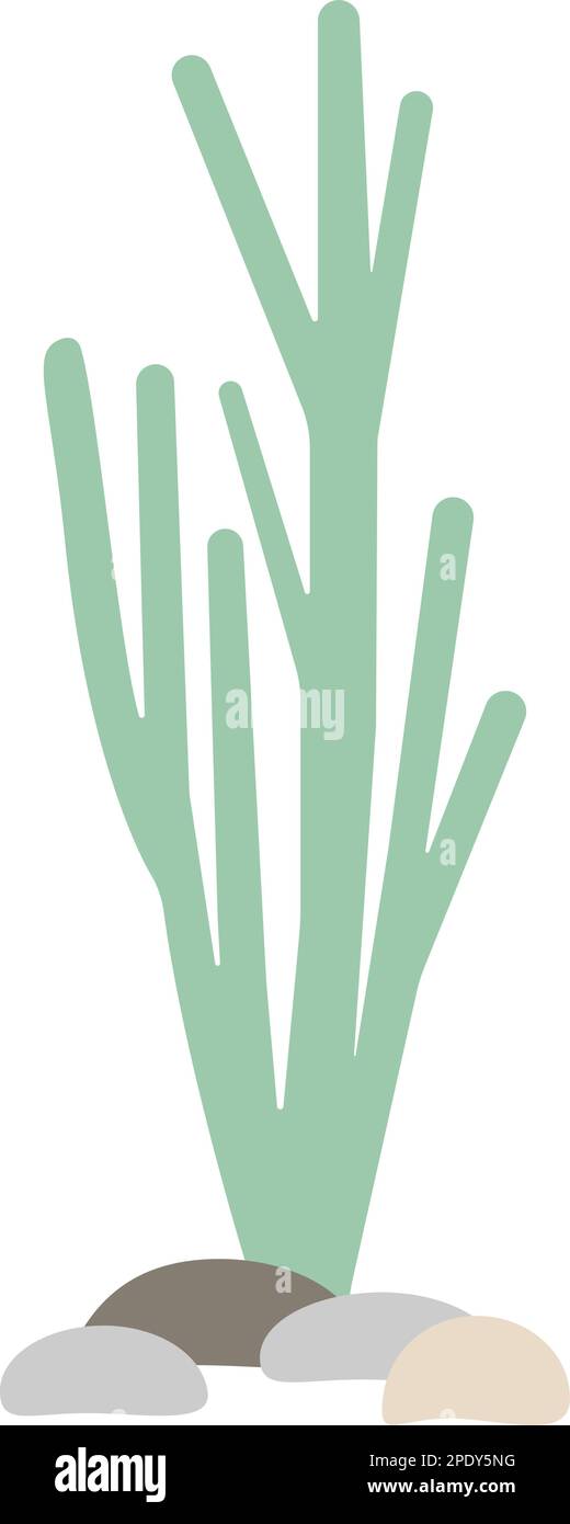 Vector flat cactus. Natural hand drawing element with desert plant ...