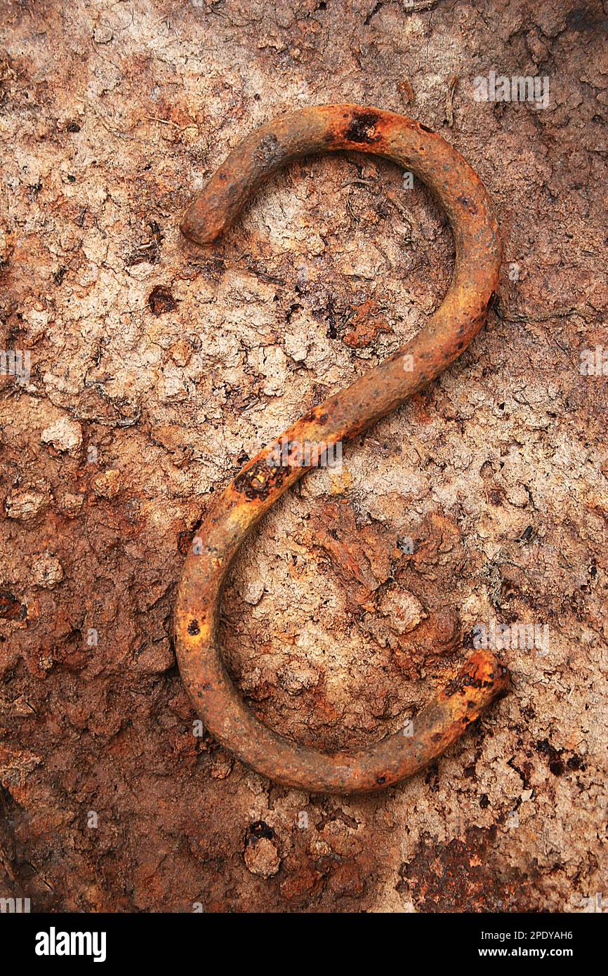 Rusty "S" hook. This photo was taken in my backyard with the shallowest ...