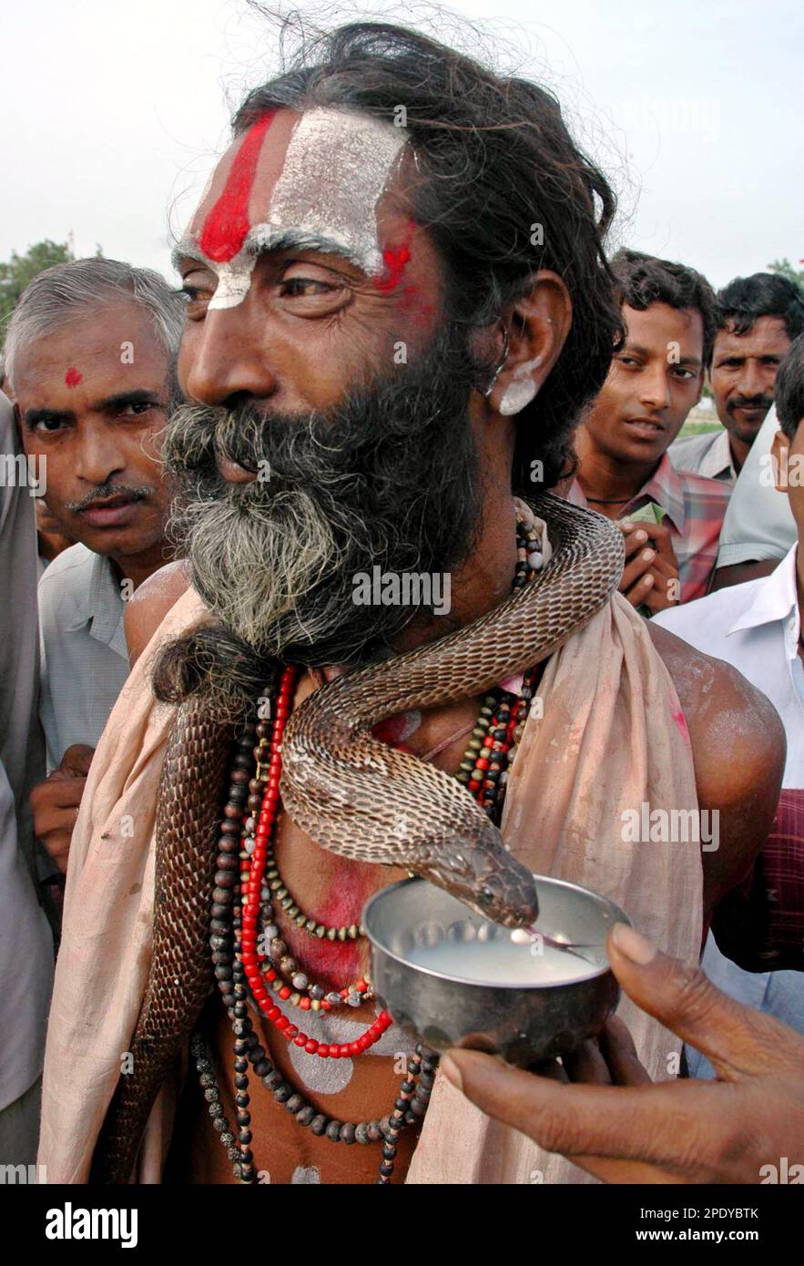 A Sadhu, or Hindu holy man, has a snake wrapped around his neck as ...
