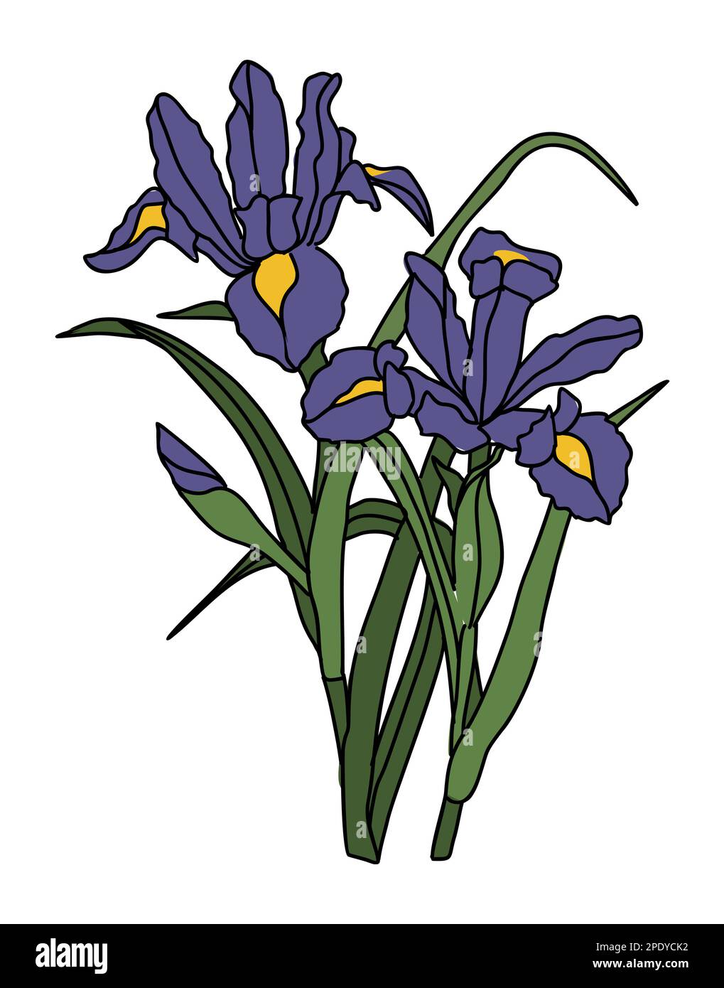 Iris February birth month flower vector art Stock Vector Image & Art ...