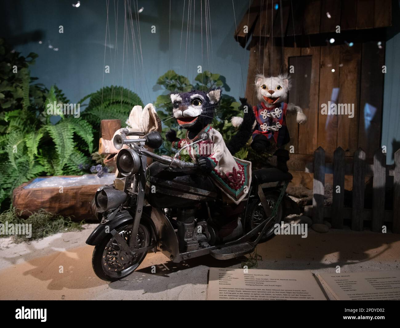 Augsburg, Germany. 15th Mar, 2023. The puppet "Kater Mikesch" sits on a ...