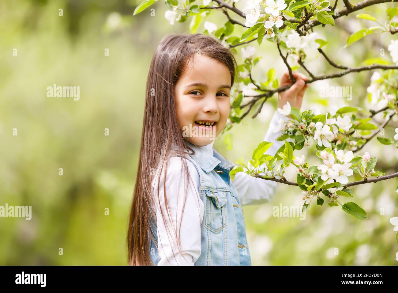 Beautiful girl in flowering Apple trees. Long hair Stock Photo - Alamy