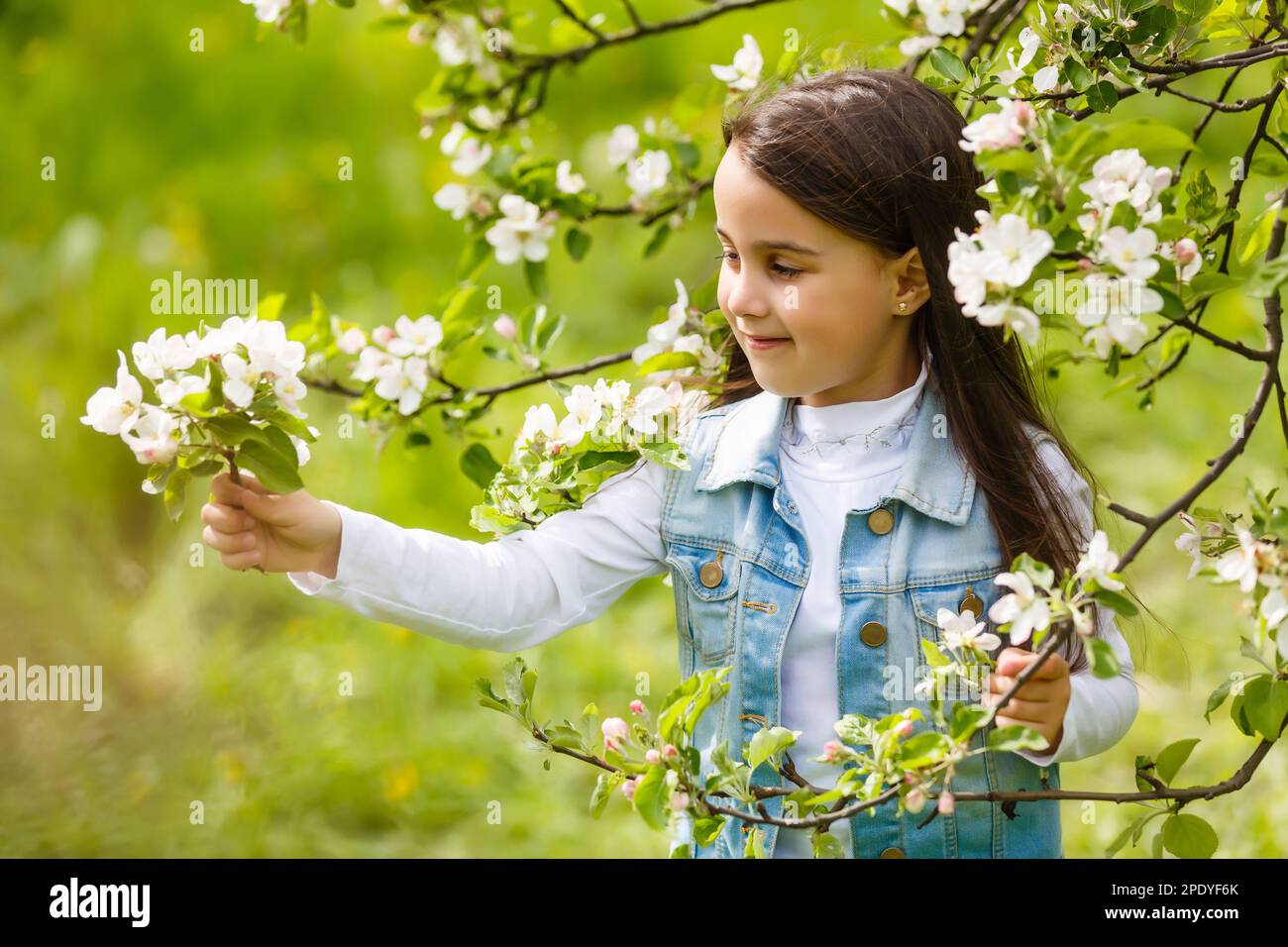 Beautiful girl in flowering Apple trees. Long hair Stock Photo - Alamy