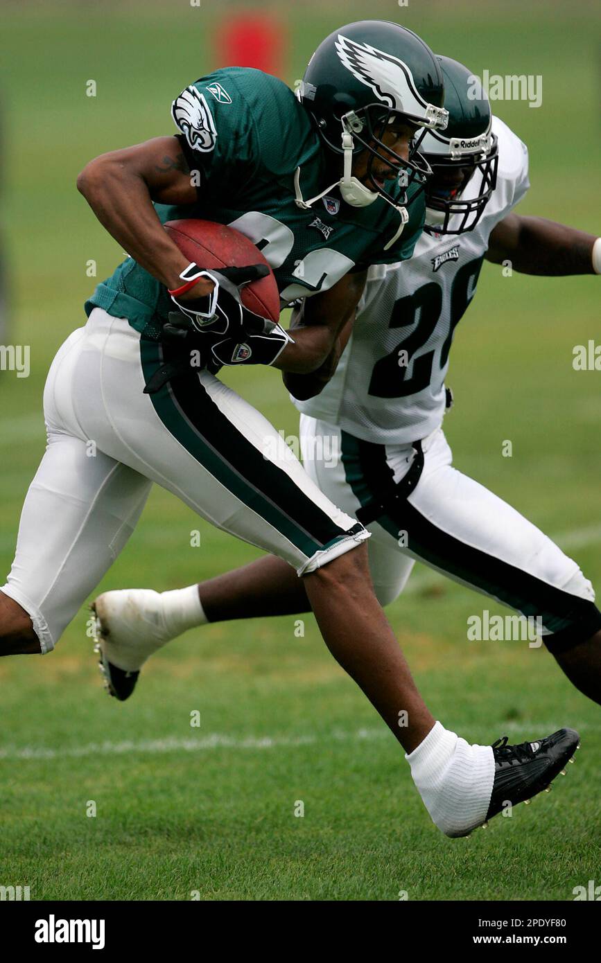 Philadelphia Eagles receiver Greg Lewis hauls in a pass despite ...