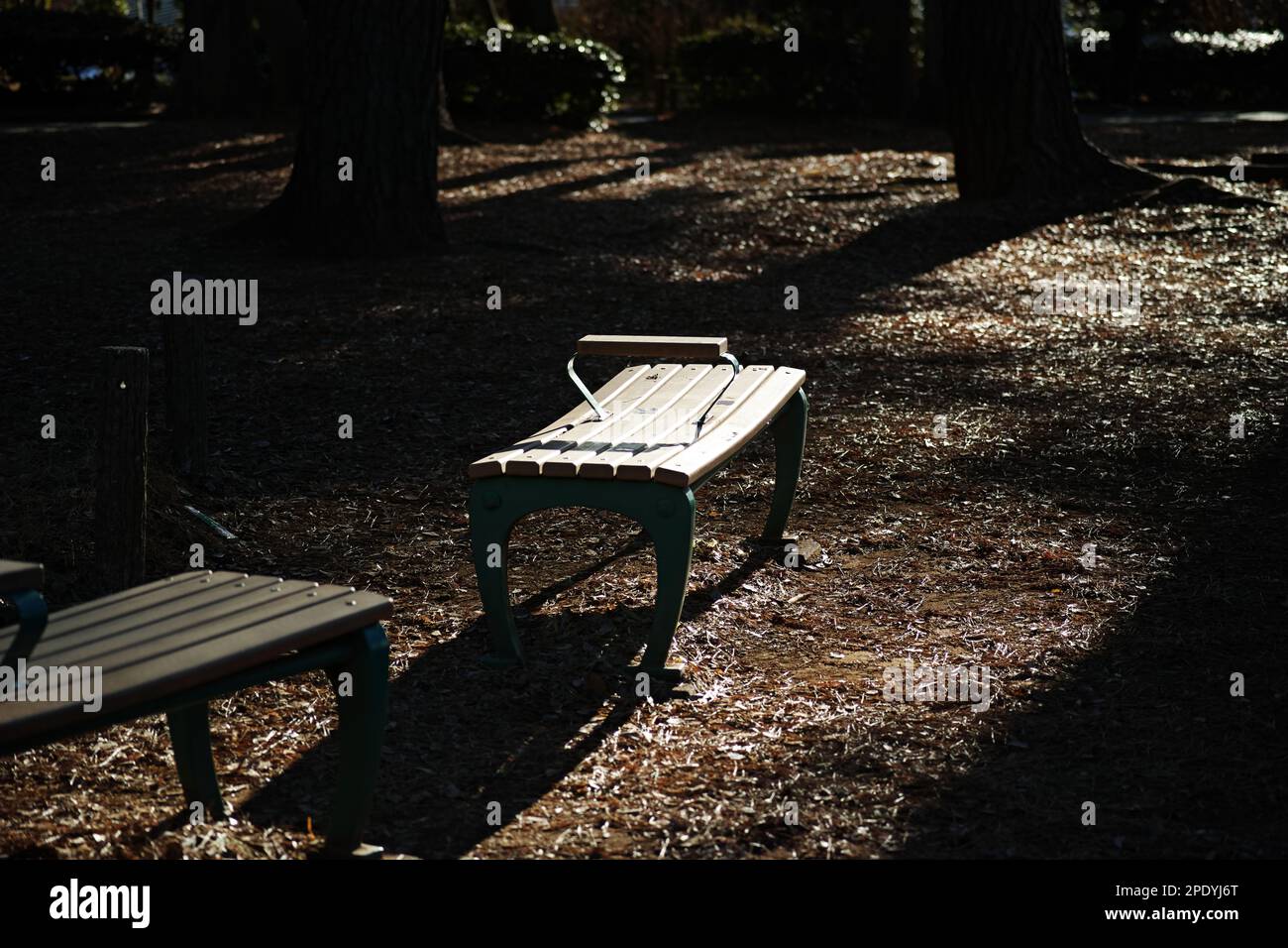 Two wooden park benches in a dimly lit setting, one of them facing the ...
