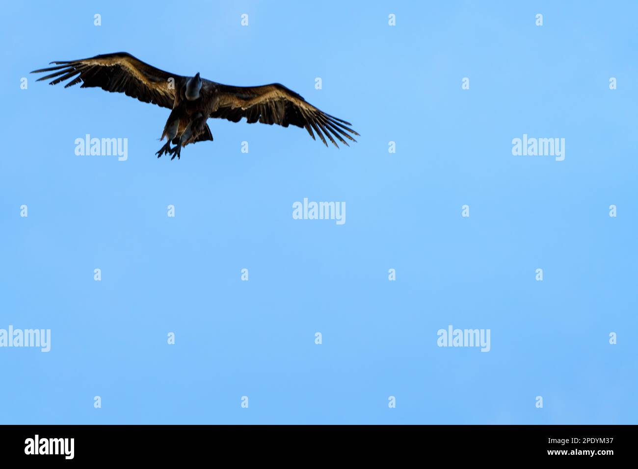 Soaring rock formation hi-res stock photography and images - Alamy