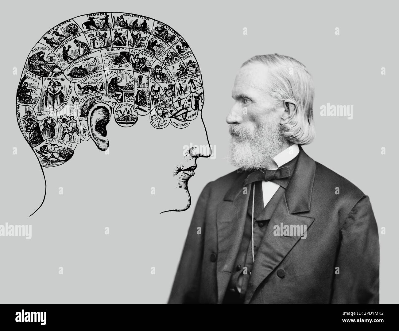 Phrenology chart hi-res stock photography and images - Alamy