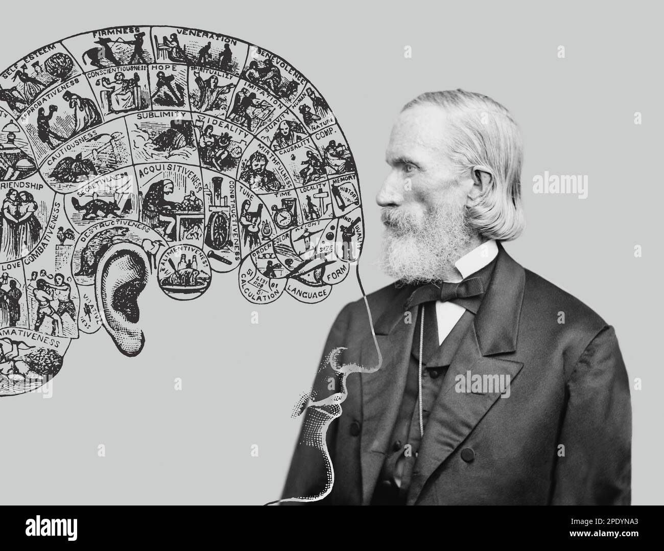 Phrenology chart hi-res stock photography and images - Alamy