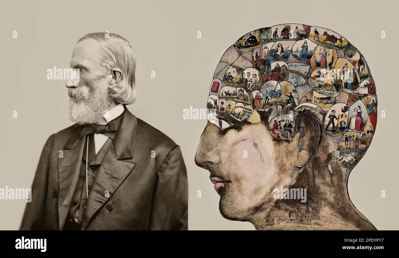 Phrenology chart hi-res stock photography and images - Alamy