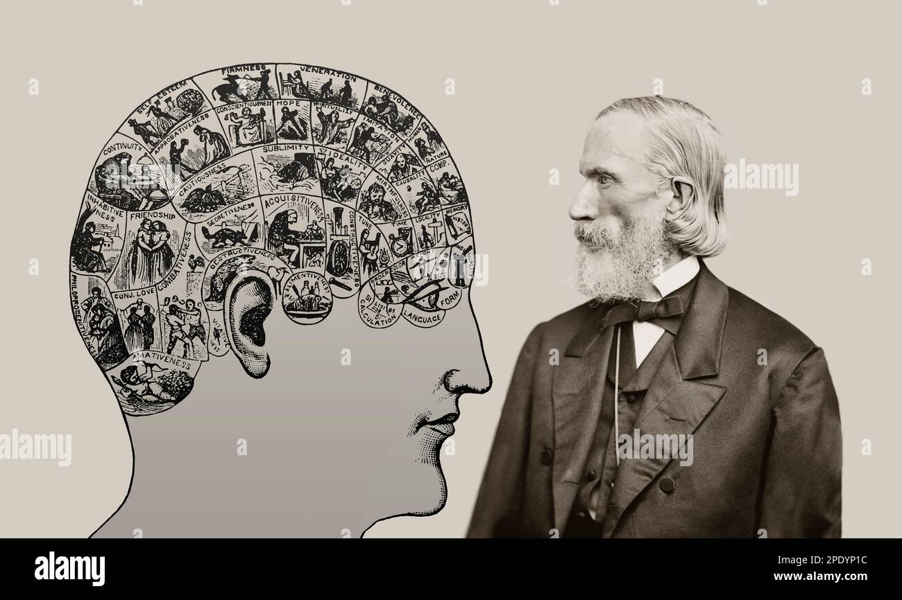Phrenology head chart hi-res stock photography and images - Alamy