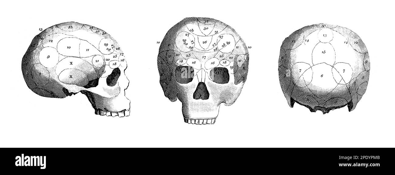 Localization theory Black and White Stock Photos & Images - Alamy