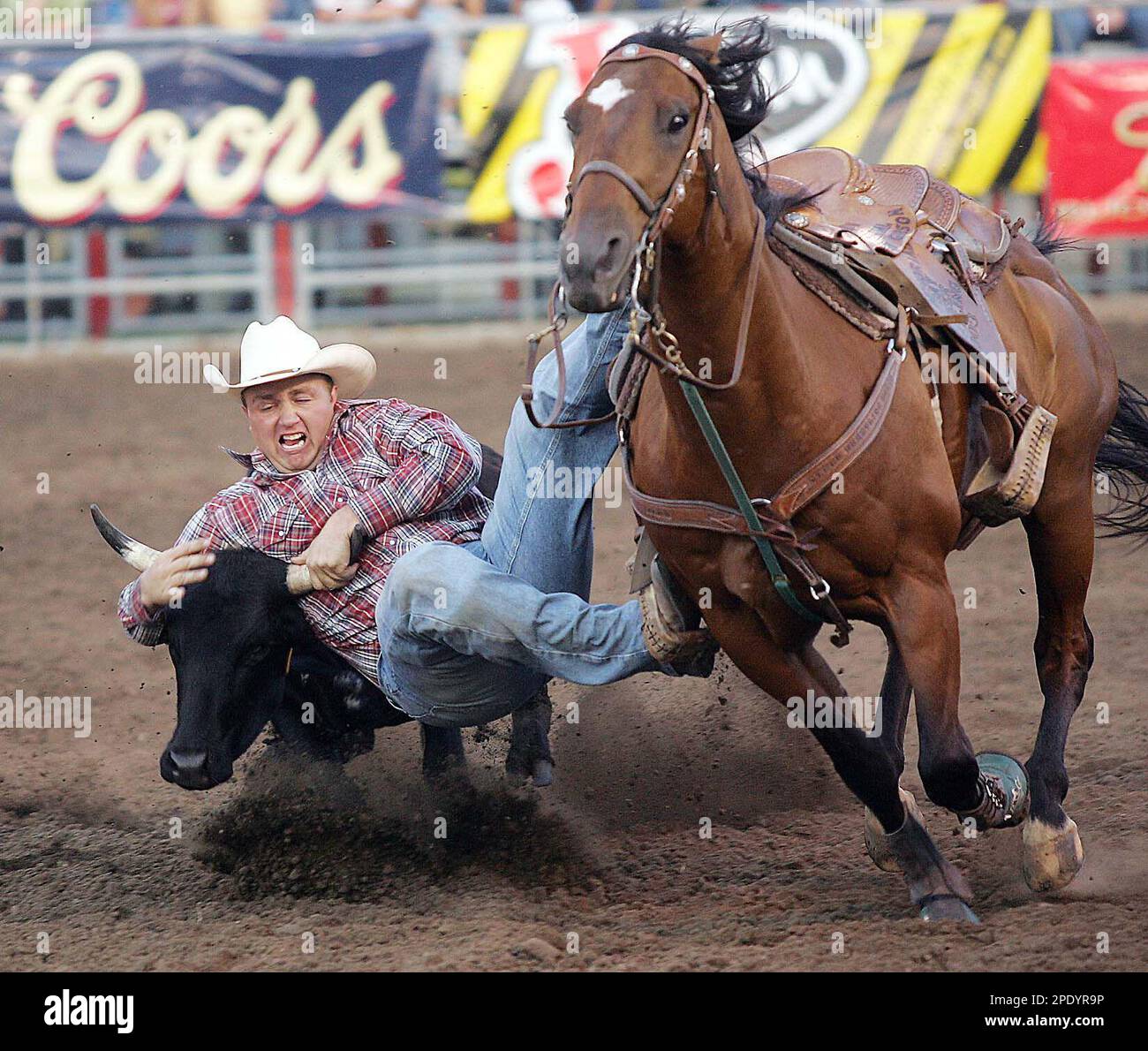 Tooter Silver from Warner, Okla., wrestles a steer during the steer ...