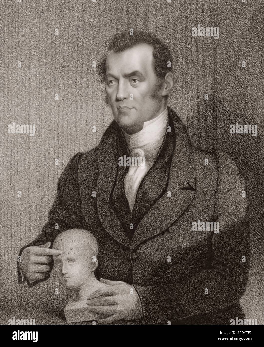 Individual organs hi-res stock photography and images - Alamy