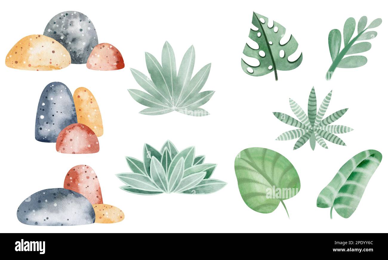 African nature. Set of watercolor elements of trees, stones, plants ...