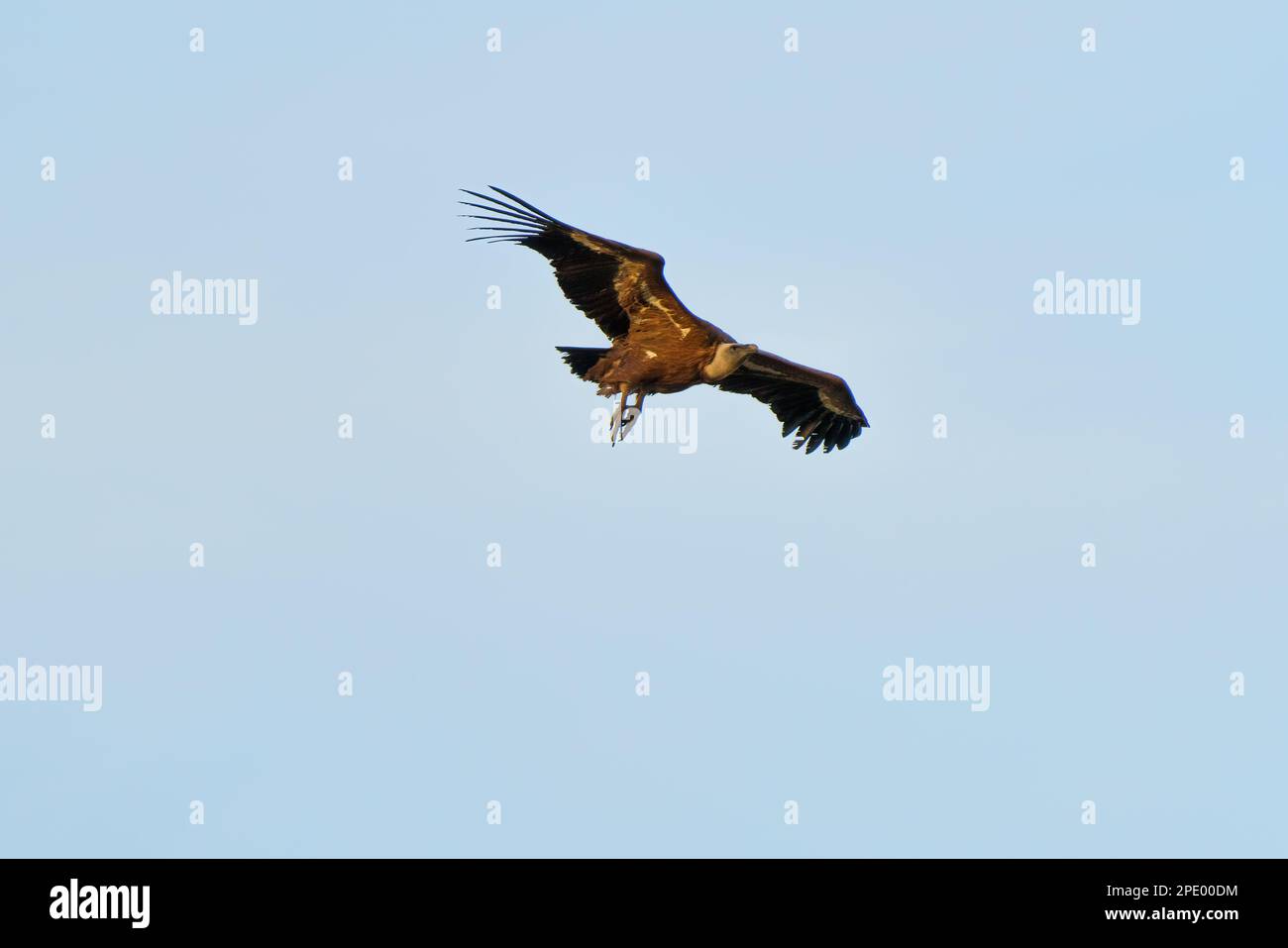 Soaring rock formation hi-res stock photography and images - Alamy
