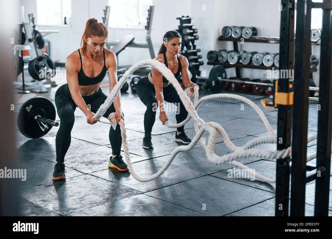 Young people with sportive body shapes doing crossfit by using knots ...